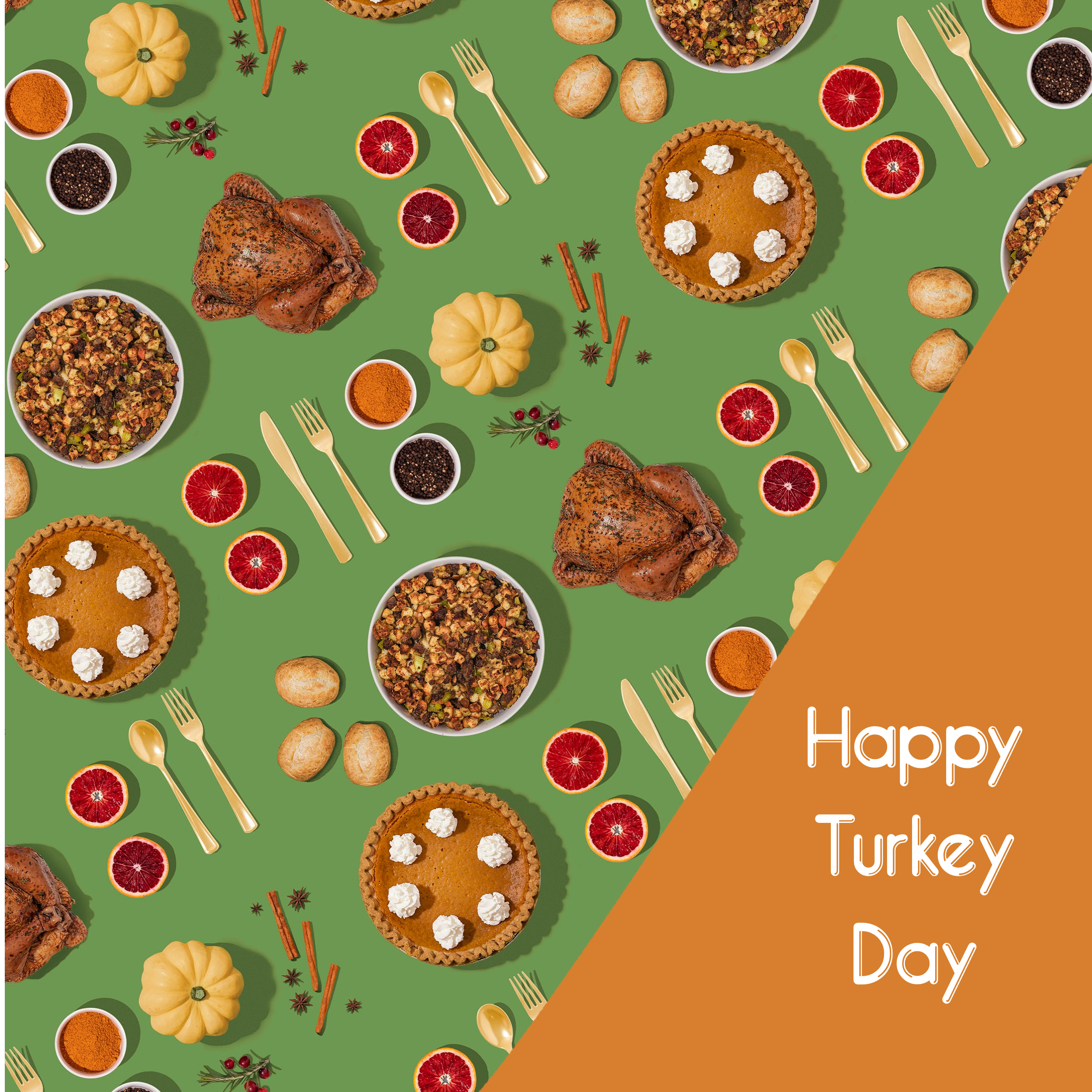 Happy Turkey Day